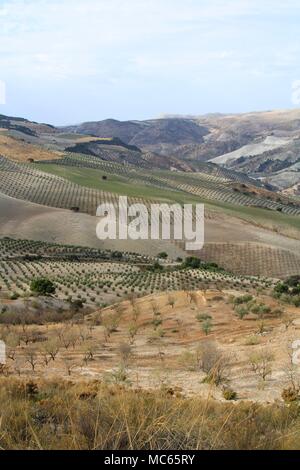 Olive orchards and the landscape of Andalusia, Southern Spain Stock ...