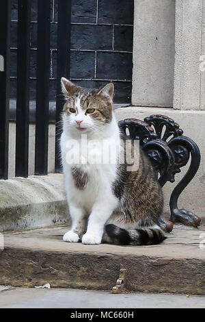 Larry the cat, Britain's Chief Mouser walks outside 10 Downing Street ...