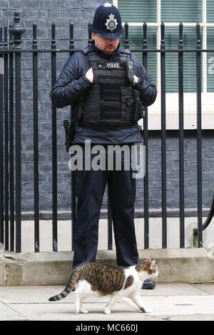 Larry the cat, Britain's Chief Mouser walks outside 10 Downing Street ...