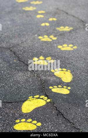 Street Sign the Direction Way to Experience Stock Photo - Alamy