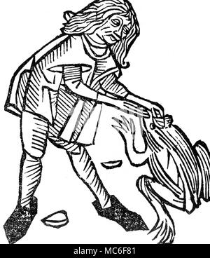 Extraction of the magical toadstone from the head of a toad. From a ...