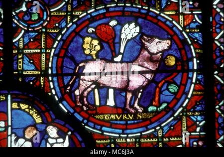 Taurus the bull in the zodiac signs window Chartres cathedral Stock ...