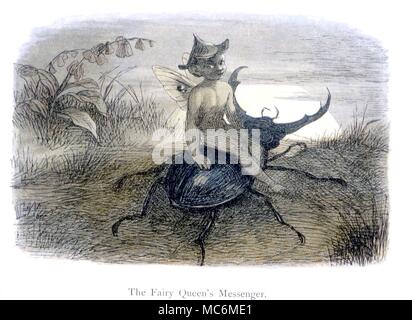 The Fairy Queen's messenger Stock Photo - Alamy