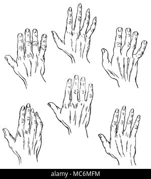 PALMISTRY - CHIROGNOMY The study of the form of the hand, in its ...