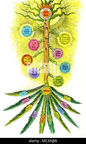 ROOTS OF HEAVEN Stock Photo - Alamy