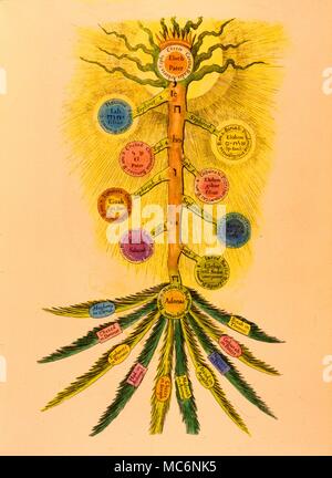 Cabbalistic Tree of Life [Sephirothic Tree] from Athanasius Kircher ...