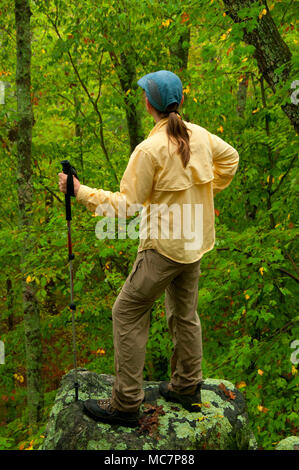 View along Nehantic Trail, Pachaug State Forest, Connecticut Stock ...