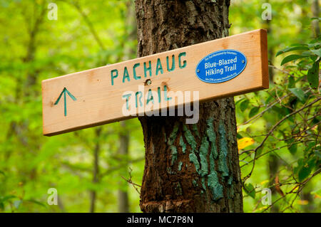 Pachaug Trail, Pachaug State Forest, Connecticut Stock Photo - Alamy