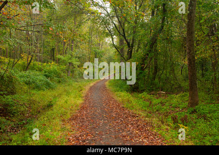 Trail, Air Line State Park Trail, Connecticut Stock Photo - Alamy