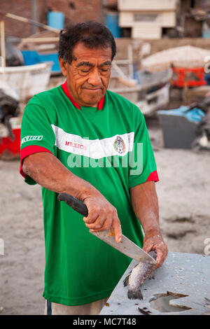 Popotla Mexican fishing village Stock Photo - Alamy