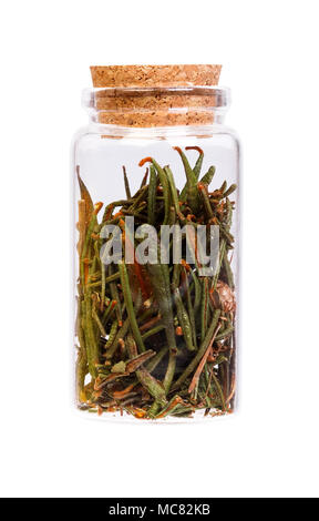 Close-up of bog Labrador tea flower or Rhododendron groenlandicum ...