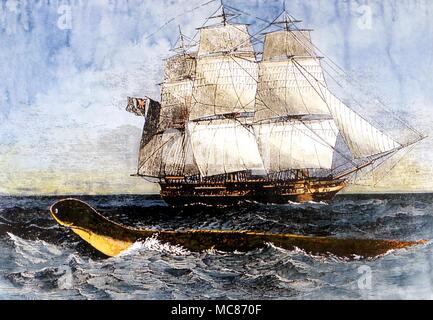 HMS Daedalus Sea Serpent, 1848 Stock Photo - Alamy