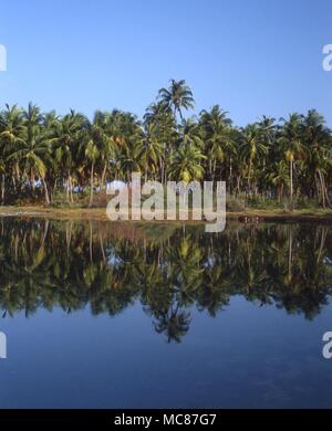 TROPICAL ISLANDS - Laccadives Bangaram island, with traditional boat ...