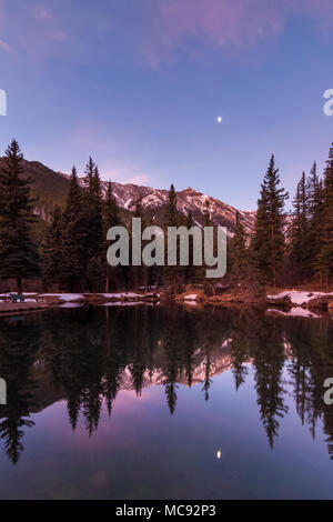 Beaver pond in spring, at sunrise, Greater Sudbury, Ontario, Canada ...