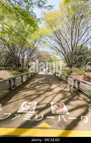 Spring scene, Kinuta Park, Setagaya-Ku, Tokyo, Japan Stock Photo - Alamy