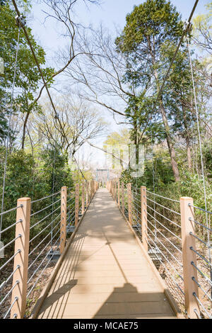Spring scene, Kinuta Park, Setagaya-Ku, Tokyo, Japan Stock Photo - Alamy