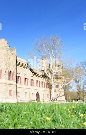 Lednice (Eisgrub) : castle ruin Januv Hrad (Hansenburg) in ...