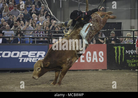 Cody Campbell a professional bull rider does his best to hold on during ...