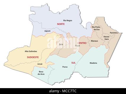 Brazil state Amazonas administrative map showing municipalities colored ...