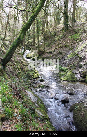 River Lyd flowing through Lydford Gorge, Dartmoor National Park, Devon ...