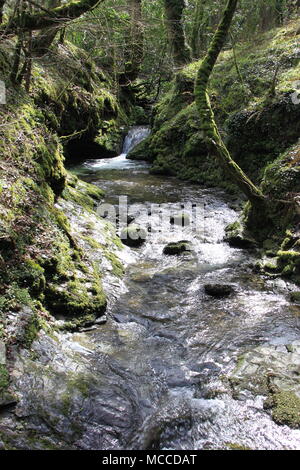 River Lyd flowing through Lydford Gorge, Dartmoor National Park, Devon ...