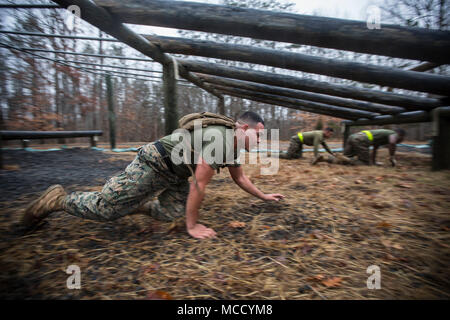 Force Fitness Instructor (FFI) student executes proper ammo can lift ...
