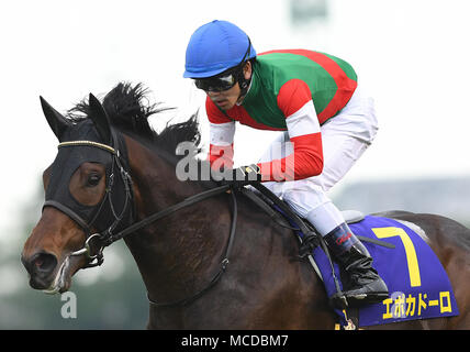 Funabashi, Chiba, Japan. 15th Apr, 2018. Keita Tosaki Horse Racing ...