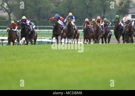 Funabashi, Chiba, Japan. 15th Apr, 2018. Keita Tosaki Horse Racing ...