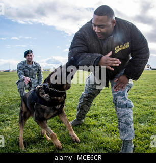 Senior Airman Jordan Hrkach, 60th Security Forces Military Working Dog ...
