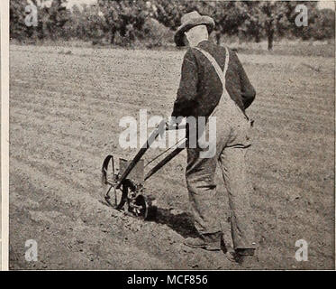 . Planet Jr. No. 3 Seeder at work in the Market Garden Planet Jr. No ...