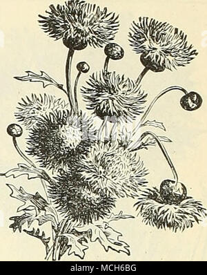 Snow covers the Rose Garden of the White House in Washington, DC, US ...