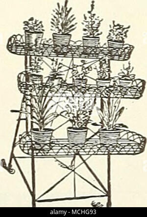 . Collapsible Wire Plant Stand Stock Photo - Alamy