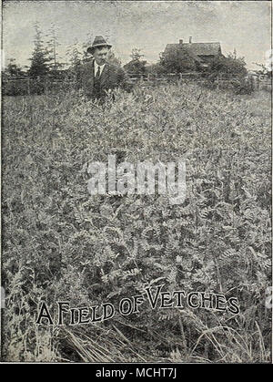 . INOCULATING CULTURES for Vetch, Field Peas. Soja Beans, etc., will be ...