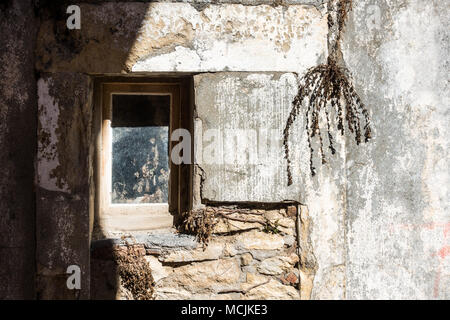 old stone ruined window with moss and plants growing around Stock Photo ...