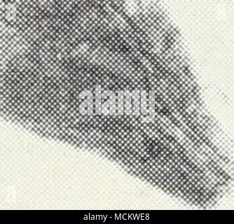 Solution of Corrosive Sublimate Stock Photo - Alamy