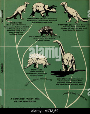 . THECODONTIA Ancestors of all dinosaurs Stock Photo - Alamy