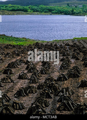 Peat Cutting for Fuel, Roundstone Blanket Bog, Connemara, County Galway ...