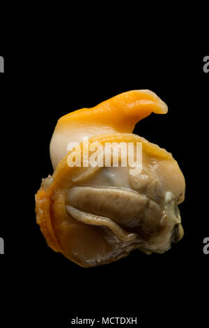 Cockles, cerastoderma edule, in a jar pickled in vinegar bought from a ...