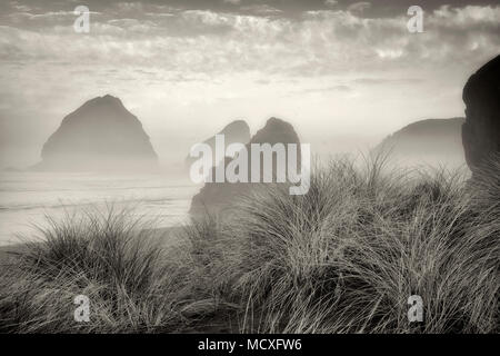 Cape Sabastian State Park with dune grass, fog and sunrise clouds ...