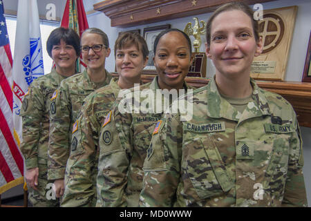 Col. Michelle Link, commander of the 372nd Engineer Brigade, addresses ...