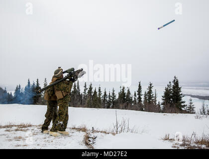 U.S. Marine fires a stinger simulator from a Stinger Trainer Launch ...