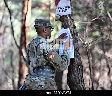 Winners of the 19th Expeditionary Sustainment Command Best Warrior ...