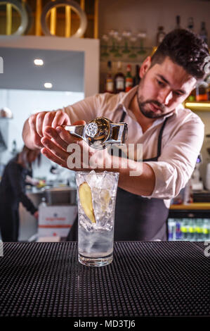 The bartender making an alcoholic cocktail, a summer cocktail in the ...
