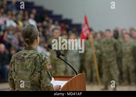 Col. Michelle Link, commander of the 372nd Engineer Brigade, gives her ...
