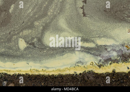 Spring pollen of pines floating in water puddle after rainfall Stock ...