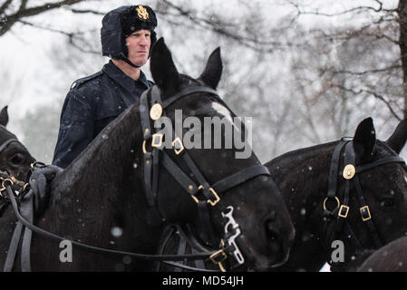Soldiers assigned to the U.S. Army Caisson Platoon, 1st Battalion, 3d U ...