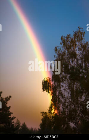 Double rainbow over forest, primary rainbow, second-order rainbow ...