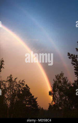 Double rainbow over forest, primary rainbow, second-order rainbow ...