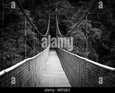 hanging bridge in costa rican rainforest Stock Photo - Alamy