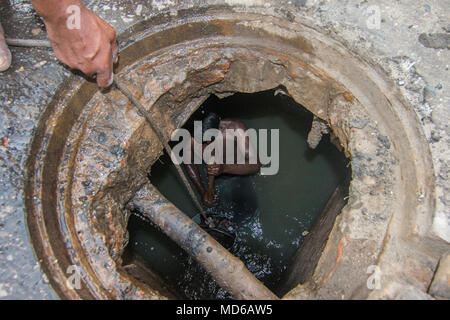 Worst job in the world, Diving down into a hole of sludge with his bare ...